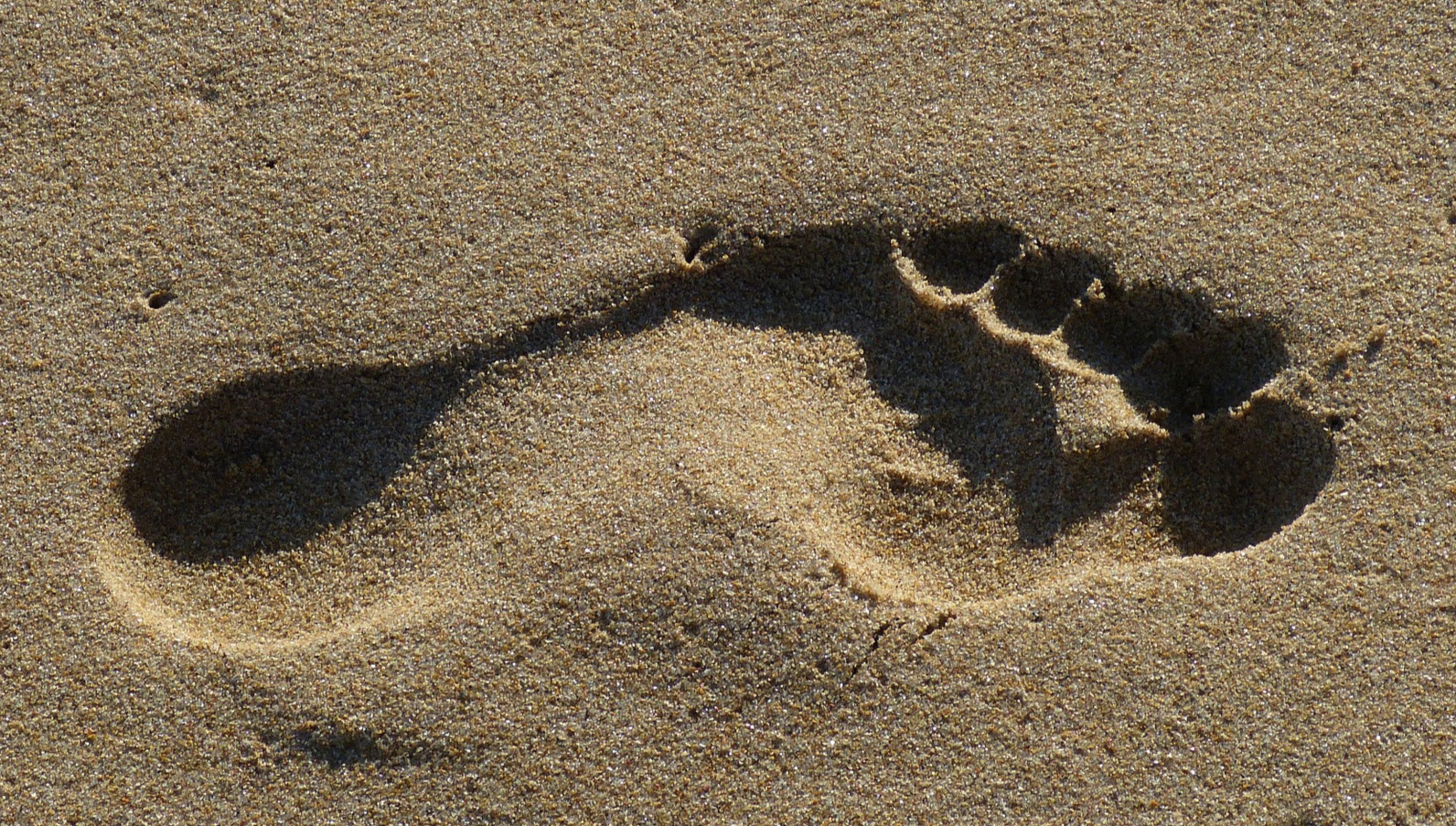 Mein ökologischer Fußabdruck: CO2-Rechner